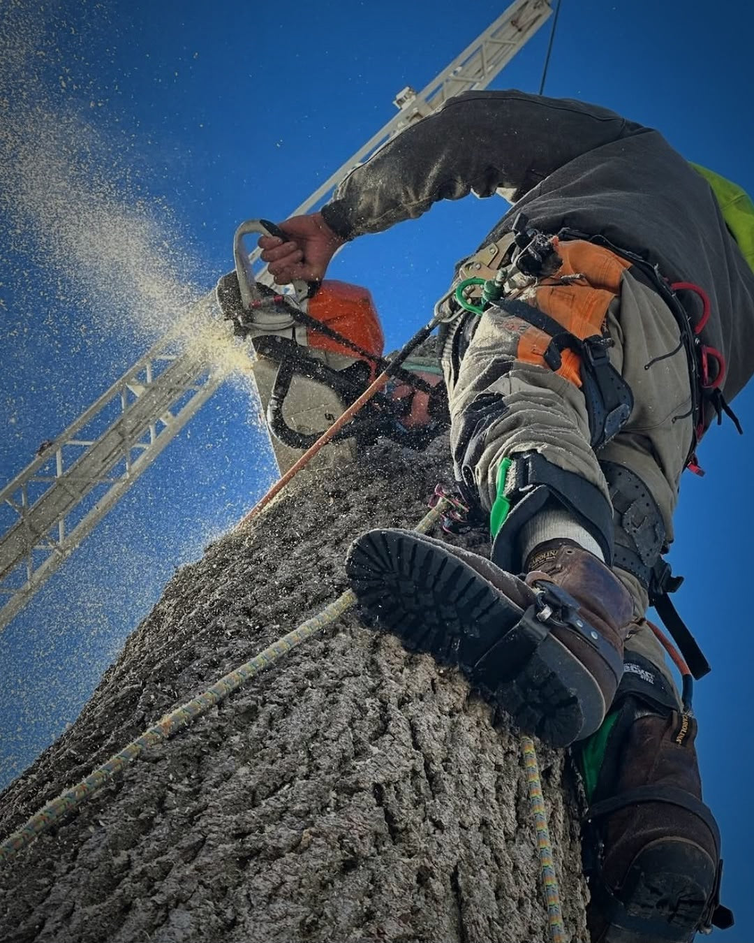 Tree Climbing Boots | Safe & Comfortable Gear – Ak'kin Footwear